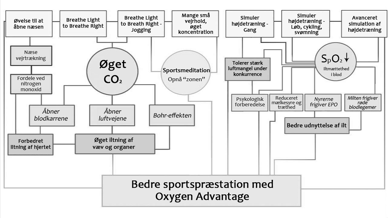 Oxygen Advantage - Vejrtrækningsoptimering - Buteyko Center
